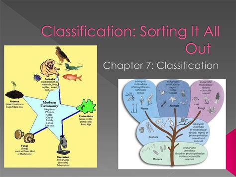 Ppt Classification Sorting It All Out Powerpoint Presentation Free Download Id 2291363