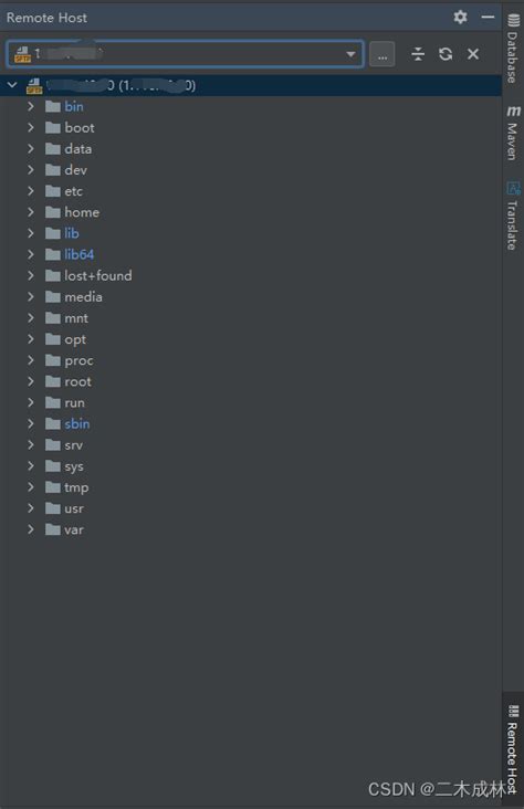 在idea中配置sftp远程linux服务器系统 idea sftp csdn博客