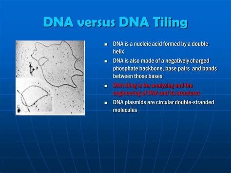ppt dna tiling and the afm powerpoint presentation free download