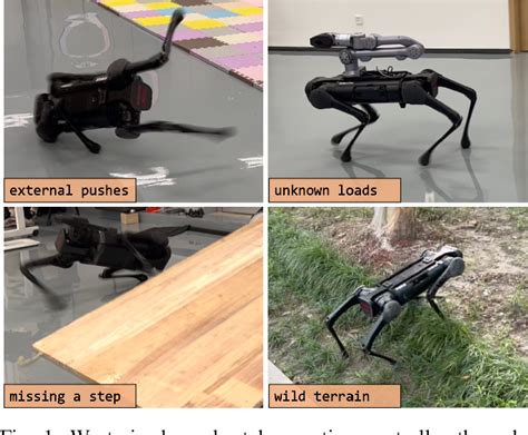 Robust Quadrupedal Locomotion Via Risk Averse Policy Learning