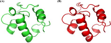 Vaccine Construct Homology Modelling And Structural Refinement A 3d Download Scientific