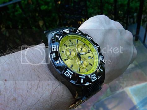 Sold Invicta 6410 Python Pvd Quartz Chrono Lnib 65 Watchuseek Watch