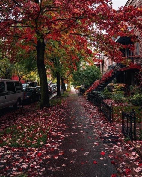 Невероятная осень Интересный контент в группе Это интересно