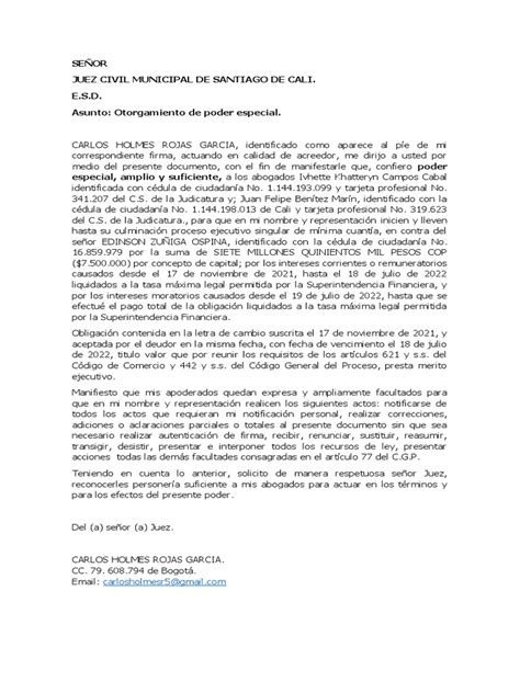 Poder Especial Proceso Ejectivo Edinson ZuÑiga Pdf