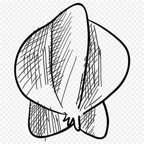 手绘png图片素材下载图片编号9238930 Png素材网