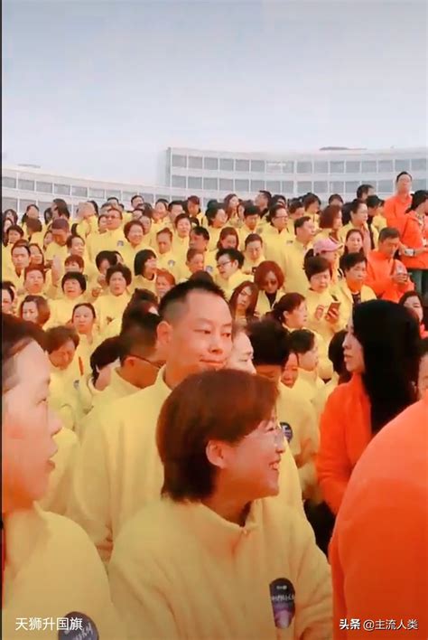 天狮 传销 直销公司排名 随意云