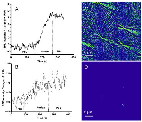 Transferrin Specific Binding Experiment A Binding Curve Of
