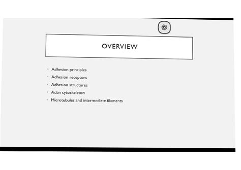 Lecture Cell Adhesion Principles And Functions Ana Studocu