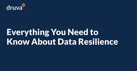 Data Resilience Services Solutions Benefits Druva Druva