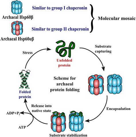 The Febs Journal Wiley Online Library