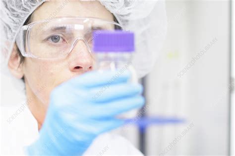 scientist examining jar in lab stock image f018 9144 science