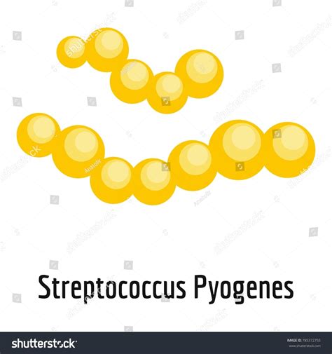 Streptococcus Pyogenes Icon Cartoon Illustration Streptococcus Stock Vector Royalty Free