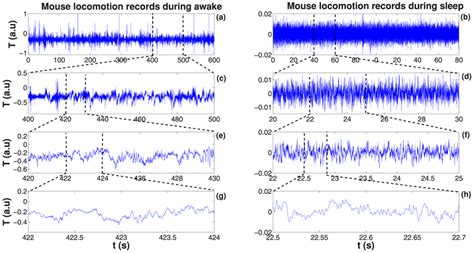 Accelerometer Time Series A Sample Of A Time Interval 600 Seconds Download Scientific