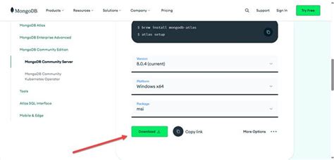Как установить Mongodb в Windows 11 Zanz