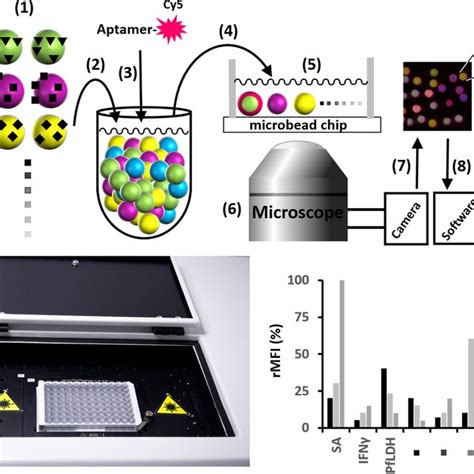 Principle Of The Multiplexed Aptamer Binding Assay Using Videoscan Download Scientific Diagram