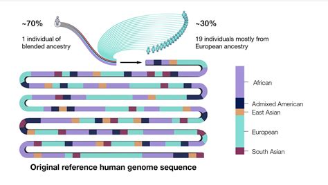 Human Genome Sequence