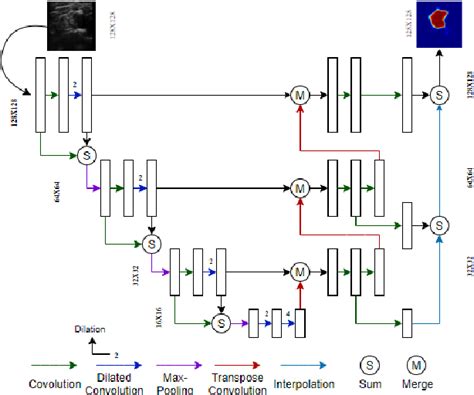 Figure 1 From Automatic Ultrasound Image Segmentation Of