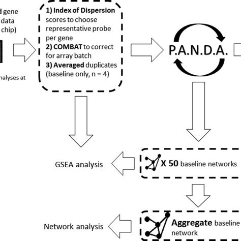 Schematic Overview Of The Analyses Performed Download Scientific Diagram
