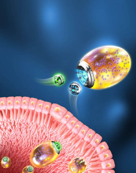 중국과학원 선전선진기술연구원 자가 적응형 의료용 마이크로 로봇 개발 로봇신문사 중국과학원 선전선진기술연구원 자가 적응형 의료용 마이크로 로봇 개발 로봇신문사
