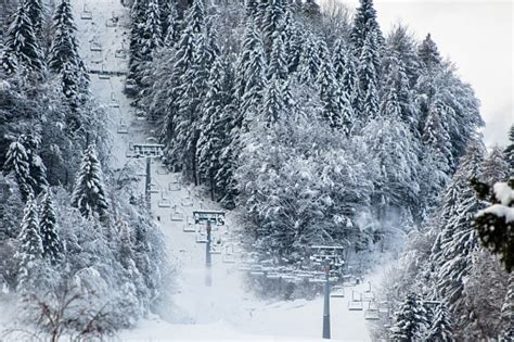 줄리안 알프스 슬로베니아 크 라에 겨울 풍경에 알파인 스키 슬로프 Championship에 대한 스톡 사진 및 기타 이미지 Championship