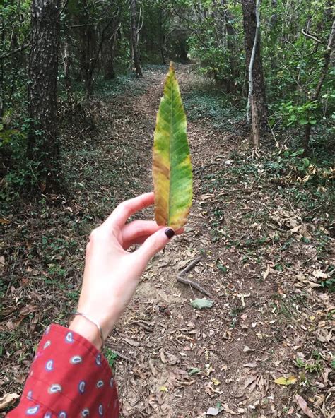 프로젝트 가치삶 • 아직 다 입어보지 못한 본 가을옷 아깝다고 얇게 입지 말기 🙅🏻 햇볕 충분히