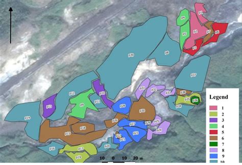 the layout of plant clusters numbers indicate cluster numbers