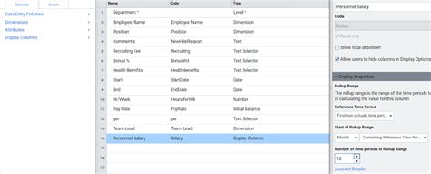 Workday Adaptive Planning Tips And Tricks Using Display Fields In