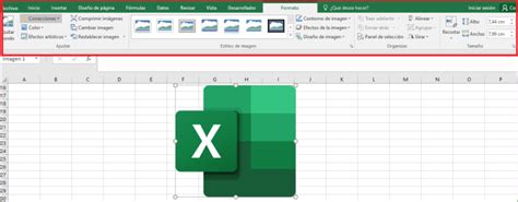 Insertar Modificar Y Eliminar Una Imagen En Excel