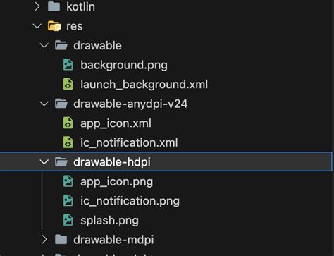 flutter stripe and jitsi meet wrapper are not working together · issue