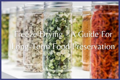 Freeze Drying A Guide For Long Term Food Preservation