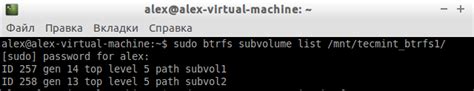 Создание и настройка файловой системы Btrfs в Linux