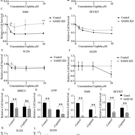 Sash1 Protein Levels Can Mediate Cisplatin Sensitivity Af Sash1