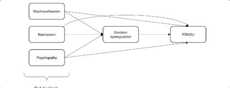 The Operationalised Model For Analysing The Main Assumptions With Psnsu