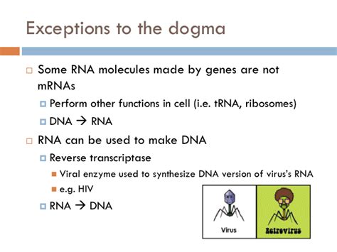 Lecture Slides The Genetic Code The Biology Primer