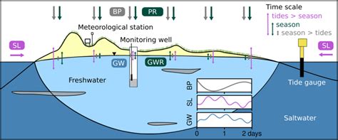 Conceptual Model Of Groundwater Level Fluctuations Gw On A Coastal