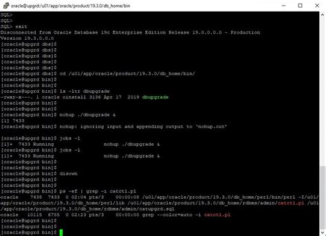 oracle 12c to 19c database upgrade
