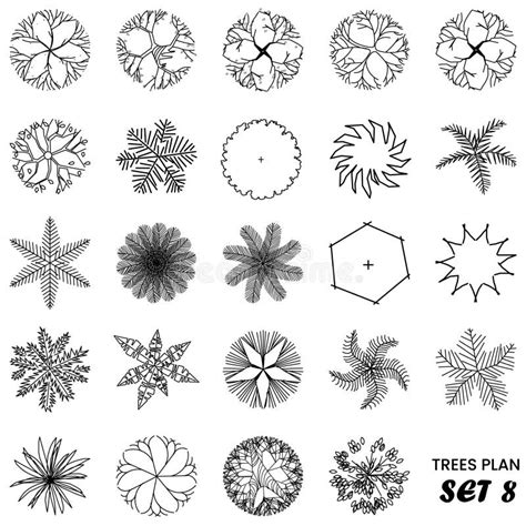 Illustration Of Trees Plan Hand Drawn For Architectural And Landscape Design Set 8 Stock