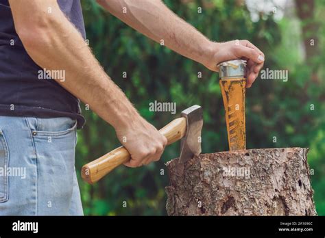 Man Chopping Tree With Axe Hi Res Stock Photography And Images Alamy