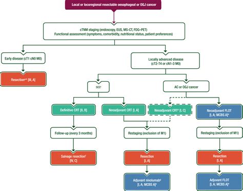 Esmo Treatment Of Locally Advanced Oesophageal And Oesophagogastric Junction Adenocarcinoma And
