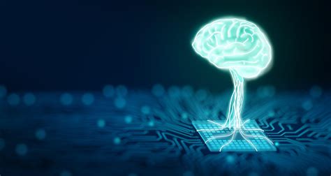 La Versatilidad De La Experiencia Concepto Y Conocimiento En