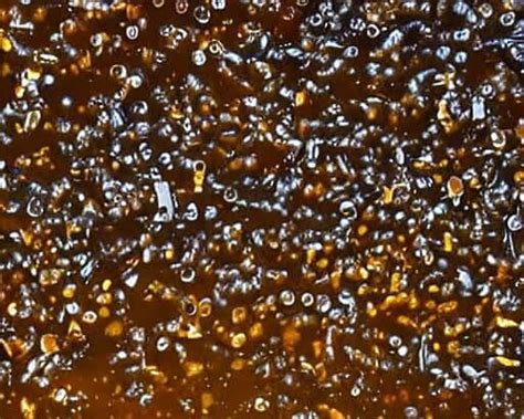 Protective Role Of Kelulut Honey Against Toxicity Effects Of Polystyrene Microplastics On