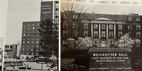 Alumni Spotlight Sheila Mcglin Pt Bachelor Of Science In Physical Therapy Class Of 1974