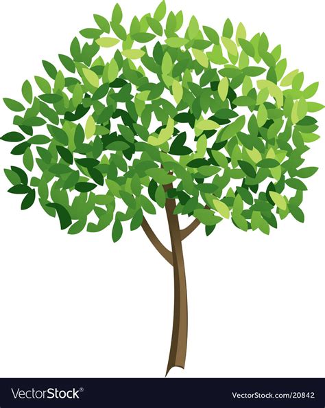 Tree With Leaves Royalty Free Vector Image Vectorstock Tree With Leaves Royalty Free Vector Image Vectorstock