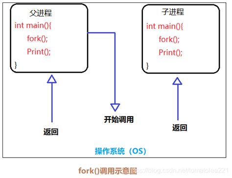 linux中fork 系统调用函数 fork（）是系统调用吗 csdn博客