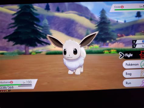 Shiny Eevee Pokemon X