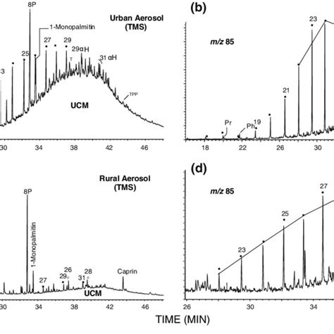 Salient Features Of The GC MS Data For Total Extracts Of Typical Download Scientific Diagram