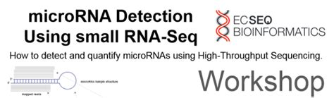 Hands On Workshop Microrna Analysis Using High Throughput Sequencing Rna Seq Blog
