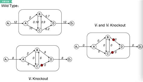 流平衡分析（fba）ruby912 2048 Ai社区