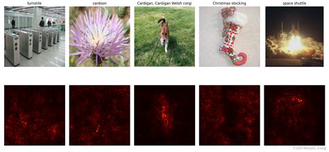 【pytorch】visualization of feature maps（4）——saliency maps csdn博客