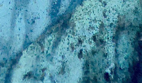 Buste De Jules Baillarger Cimetière De Montparnasse Paris 75014